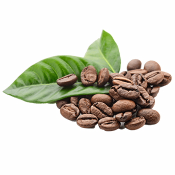 Iced Freezos, Lattes and Coffees – Chilla Beverage Co